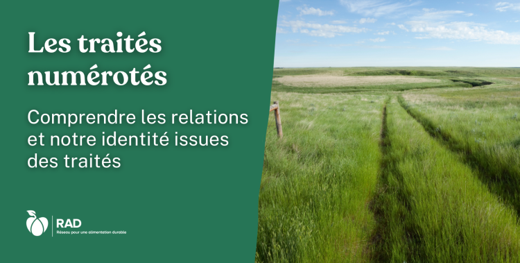 [Webinaire à venir] Les traités numérotés: Comprendre les relations et ...