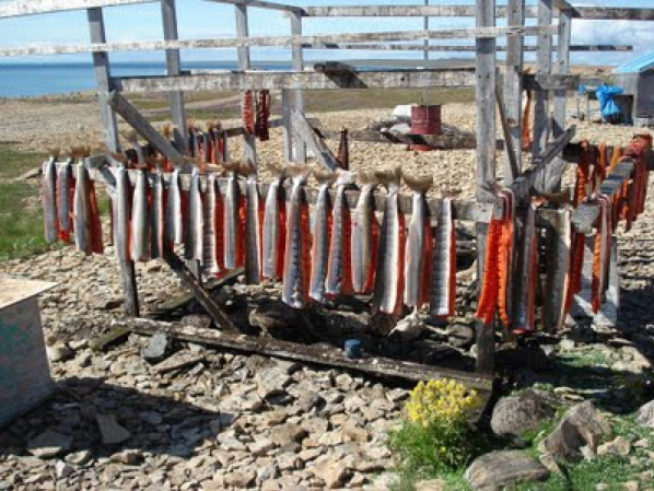 Food Security Activities in Inuit Communities | Food Secure Canada